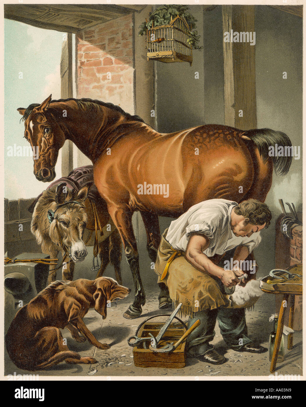 Blacksmith Horse 19c Stock Photo - Alamy