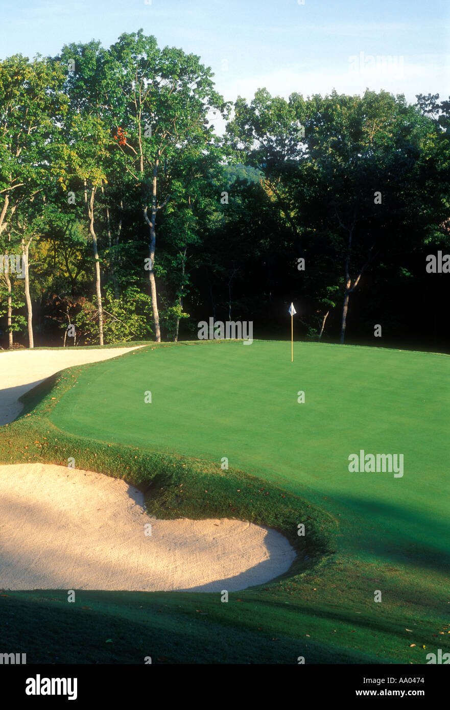 Overview of golf green in the early morning Stock Photo - Alamy
