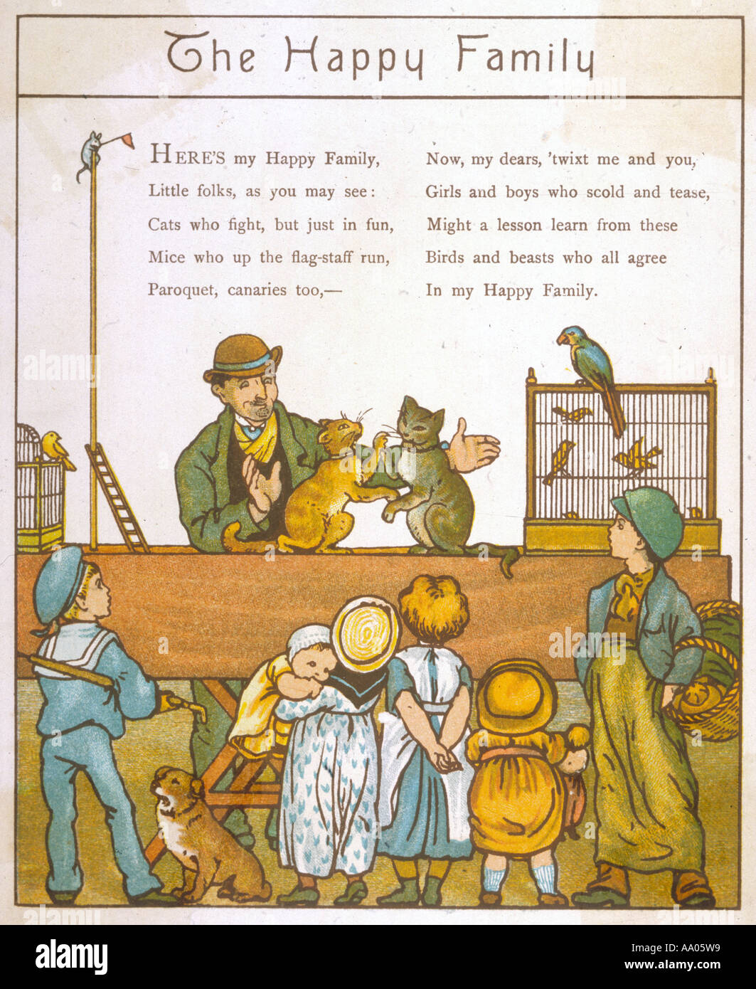 Cats in cages hi-res stock photography and images - Alamy