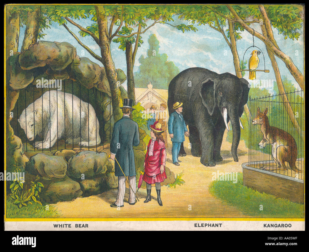 Elephants And Kangaroos Stock Photo - Alamy