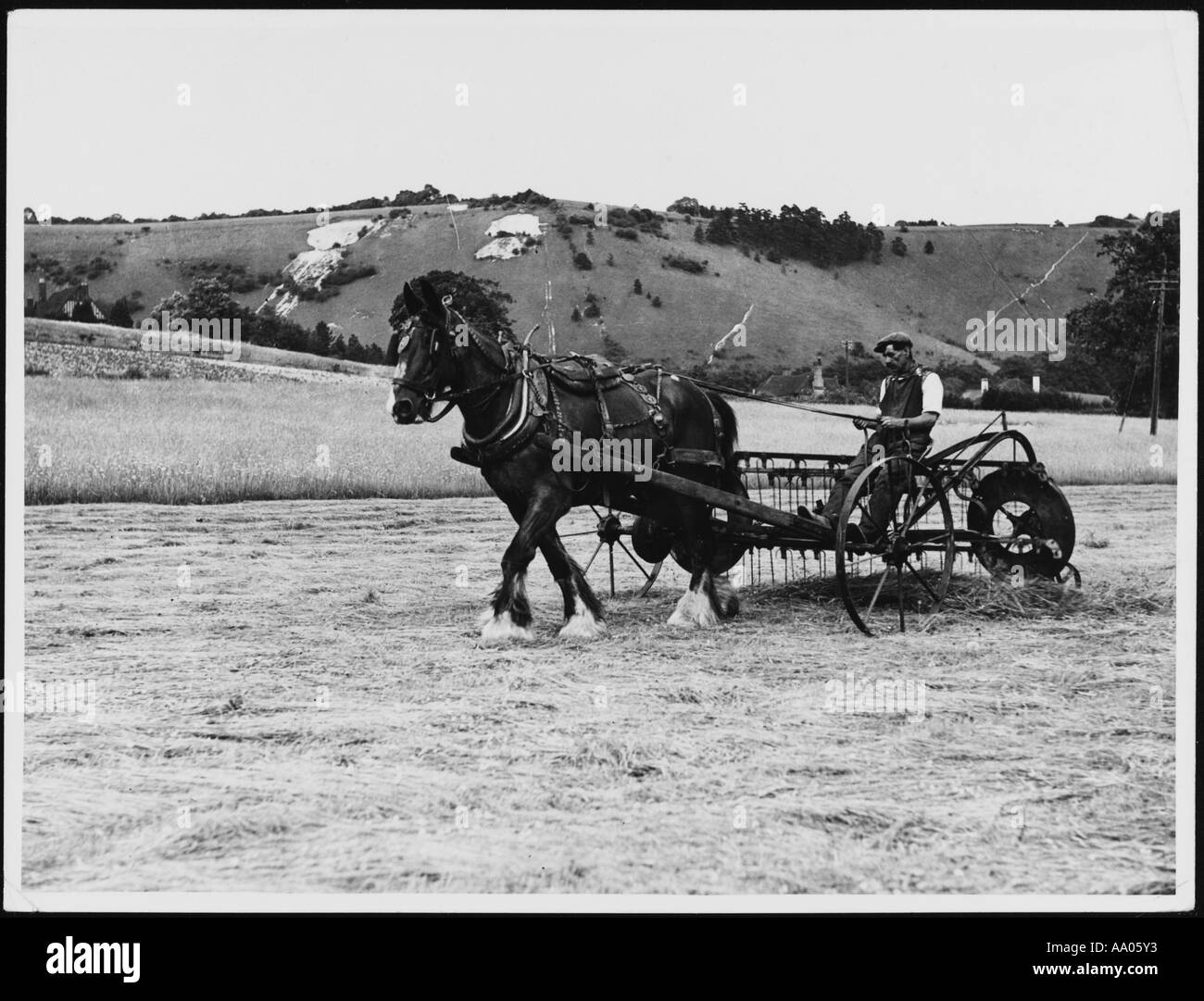 Horse drawn reaper hi-res stock photography and images - Alamy