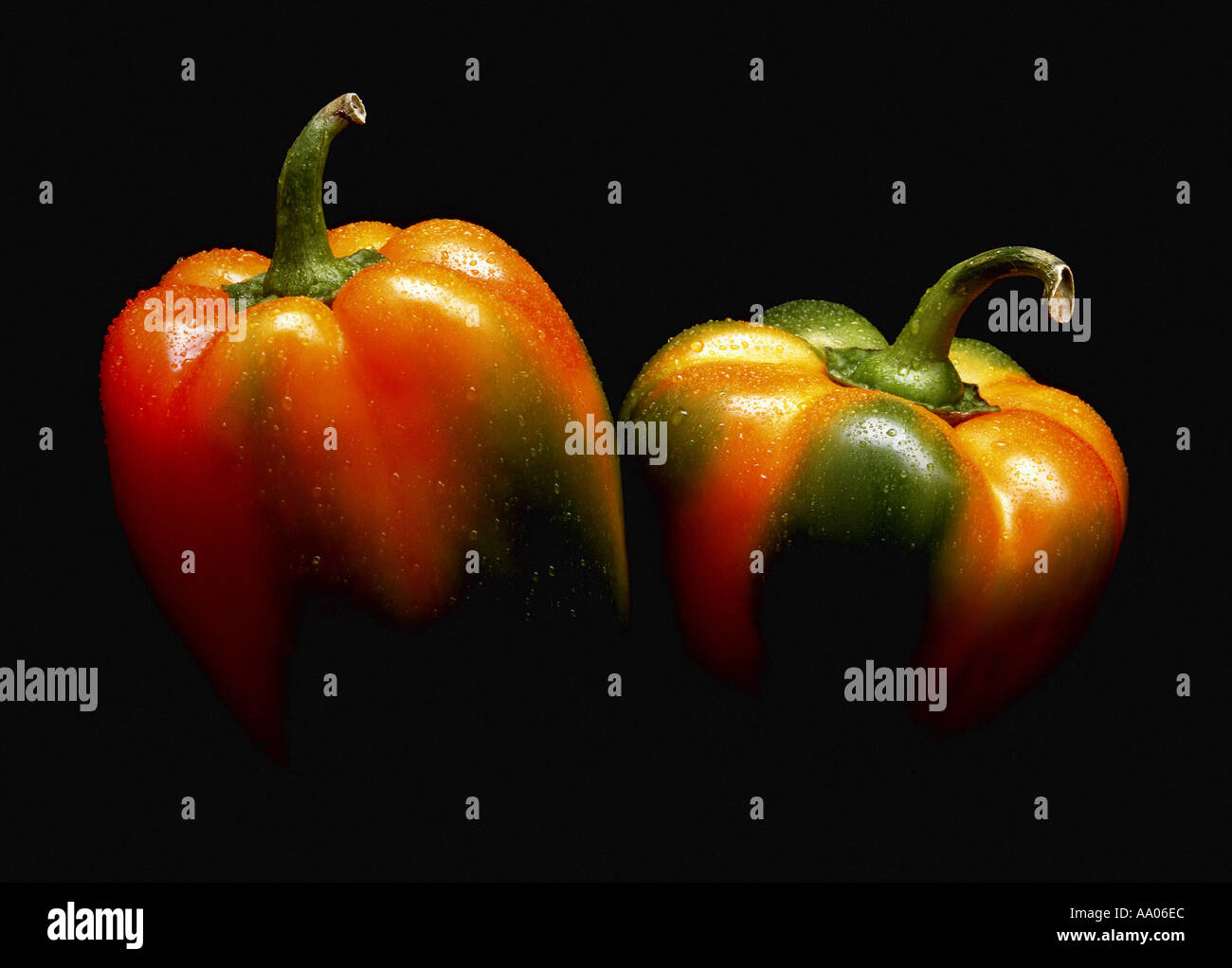 Two peppers with black background Stock Photo - Alamy