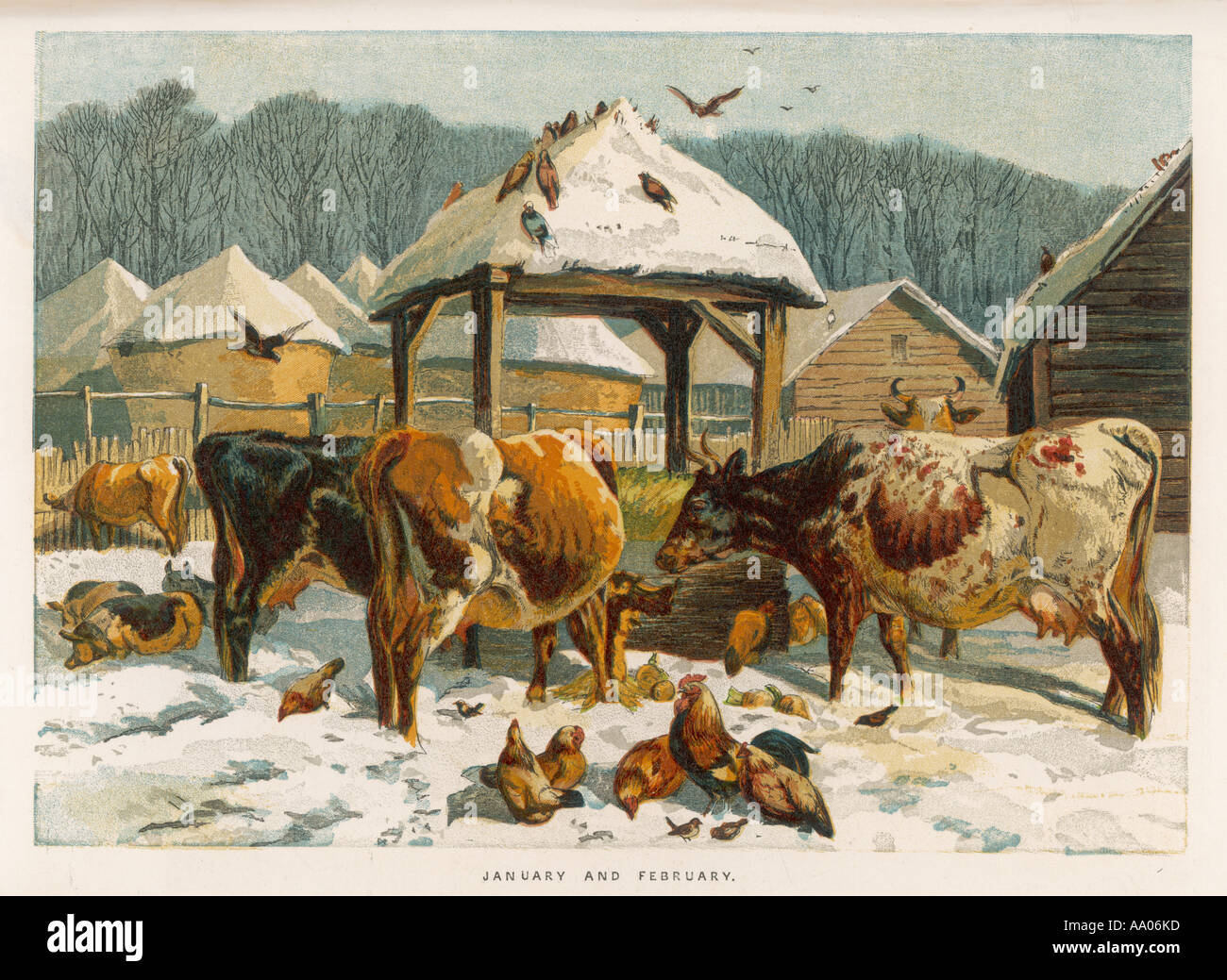 Cattle In Winter 1862 Stock Photo - Alamy