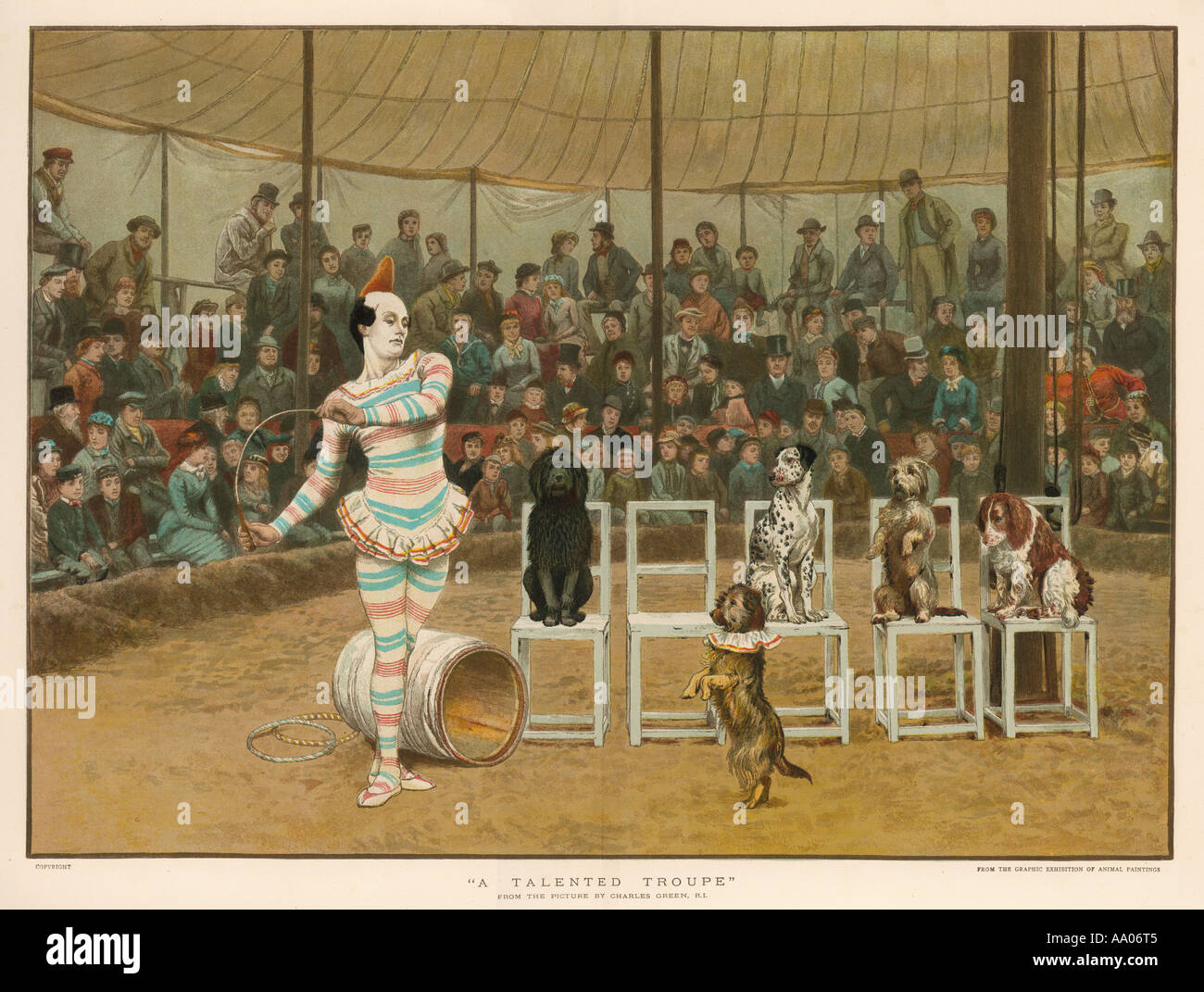 Dogs And Circus Clown Stock Photo - Alamy