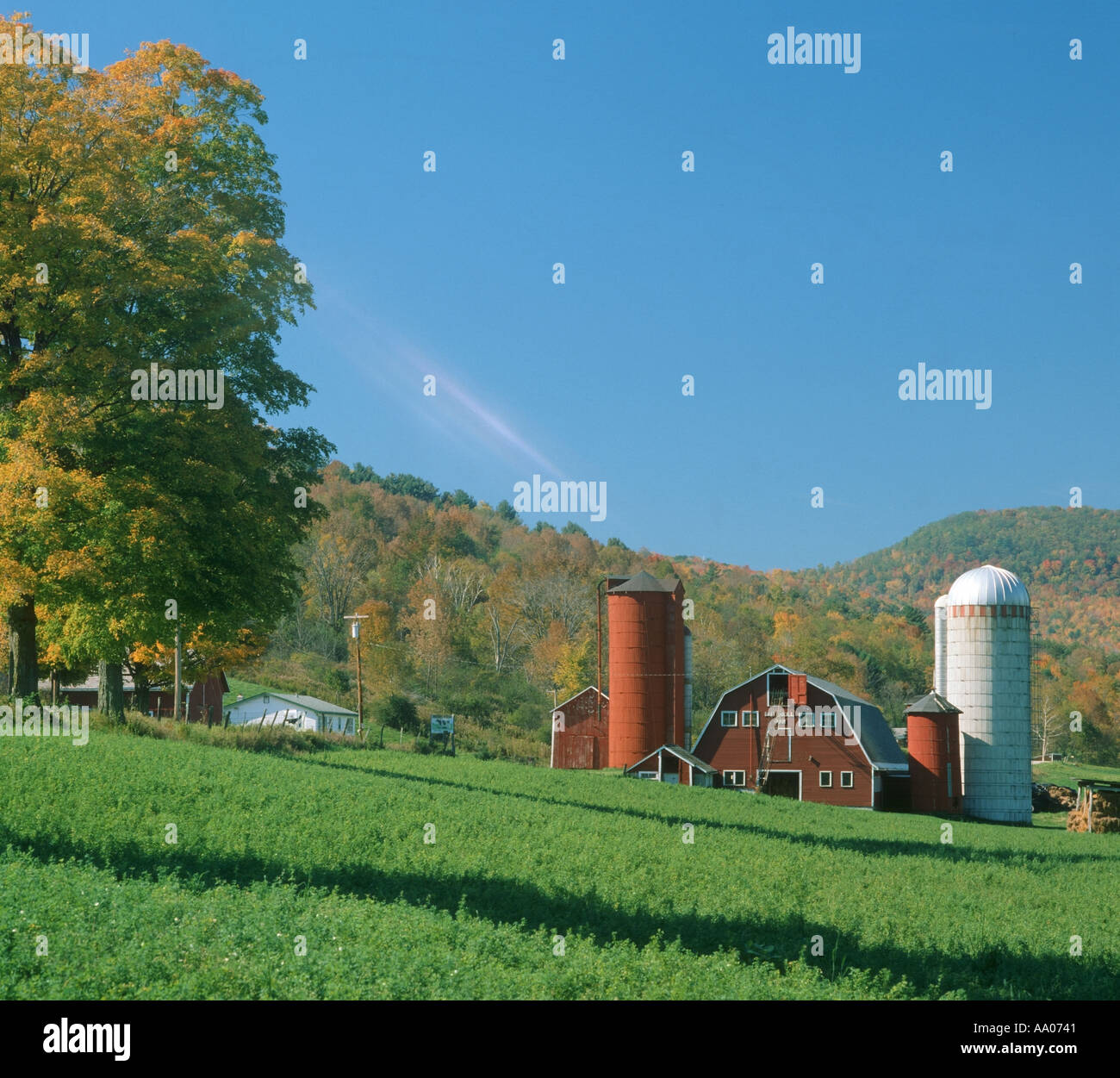 farm and barn in upstate New York during fall foliage season Stock ...