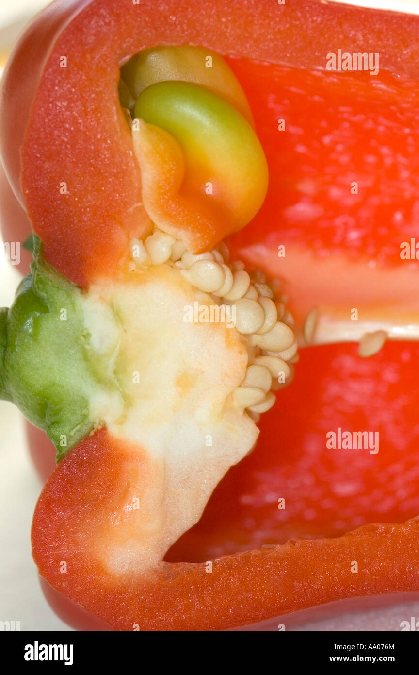 Peppery Exotica: sweet red pepper cross section Stock Photo - Alamy