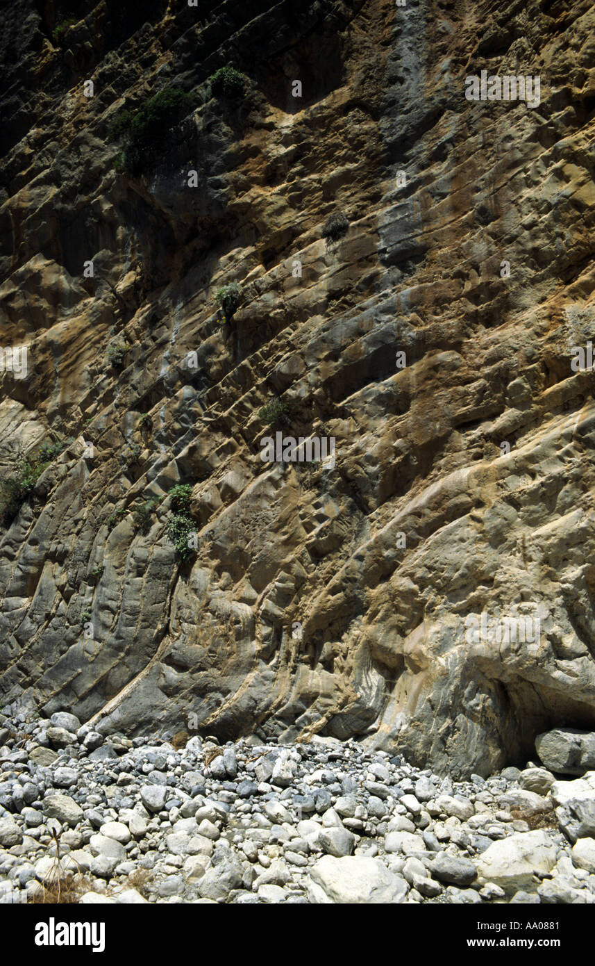 Colourful convoluted rock strata in the limestone bedding above ...