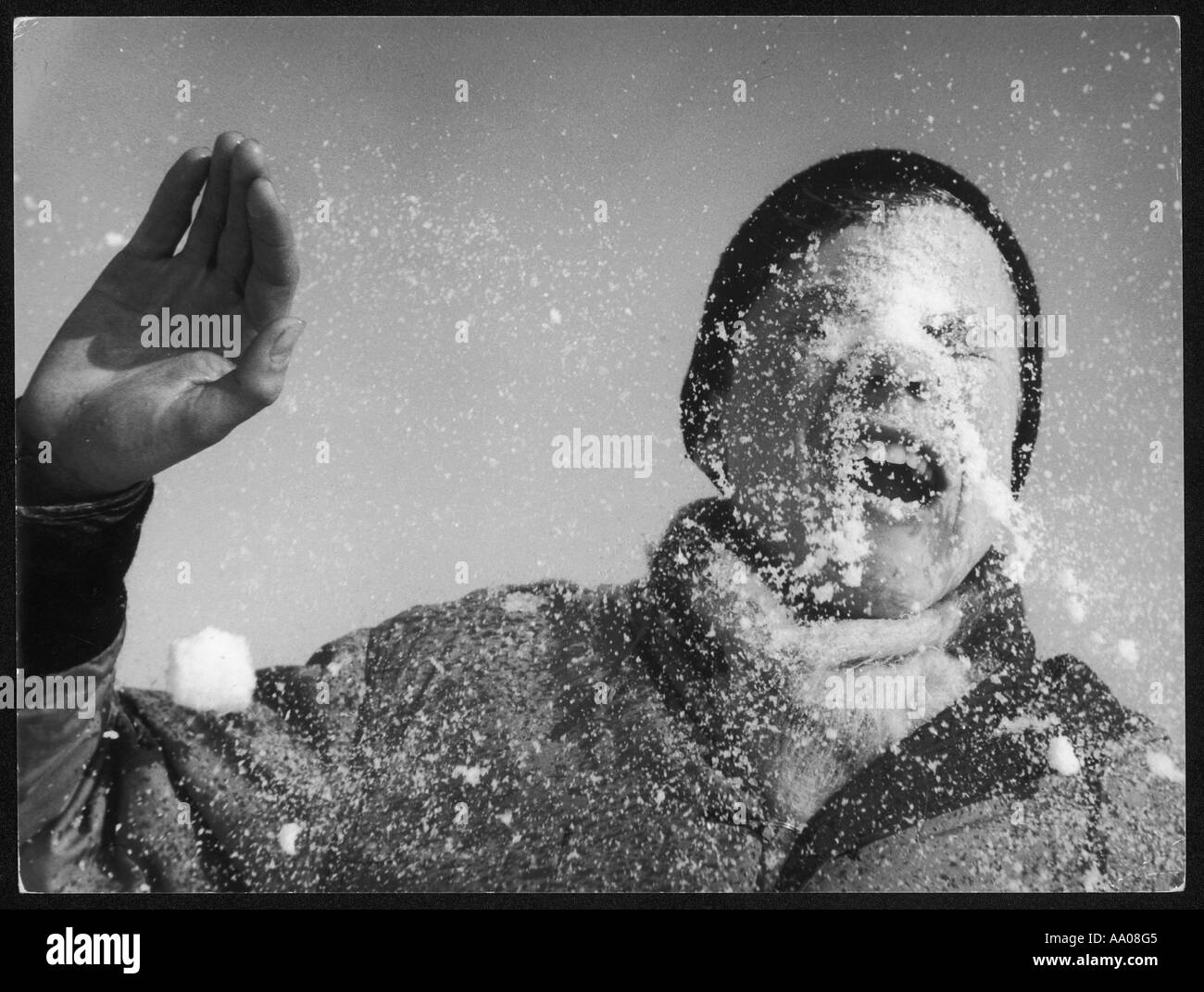 Snowball Black and White Stock Photos & Images - Alamy