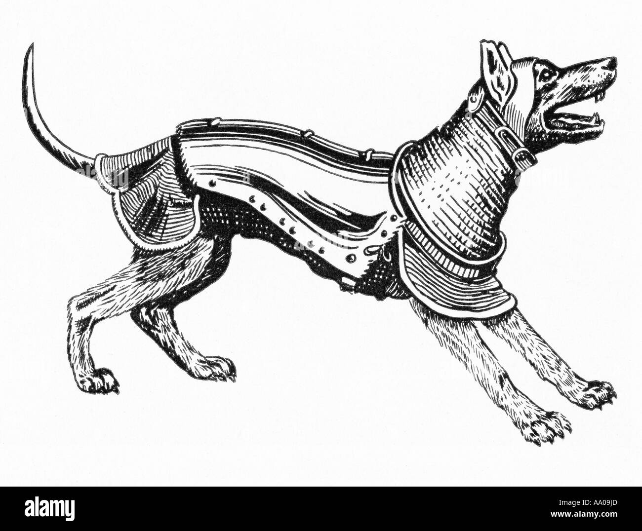 Master and dogs hi-res stock photography and images - Alamy