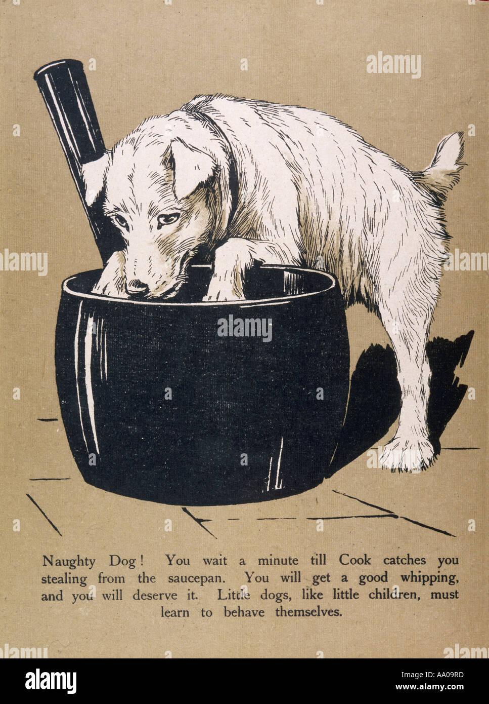 Dog And Saucepan Stock Photo - Alamy