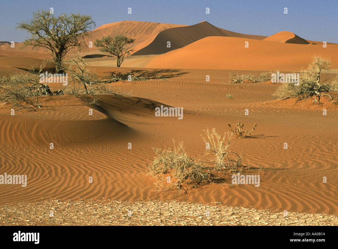 Namib desert Namibia Stock Photo - Alamy