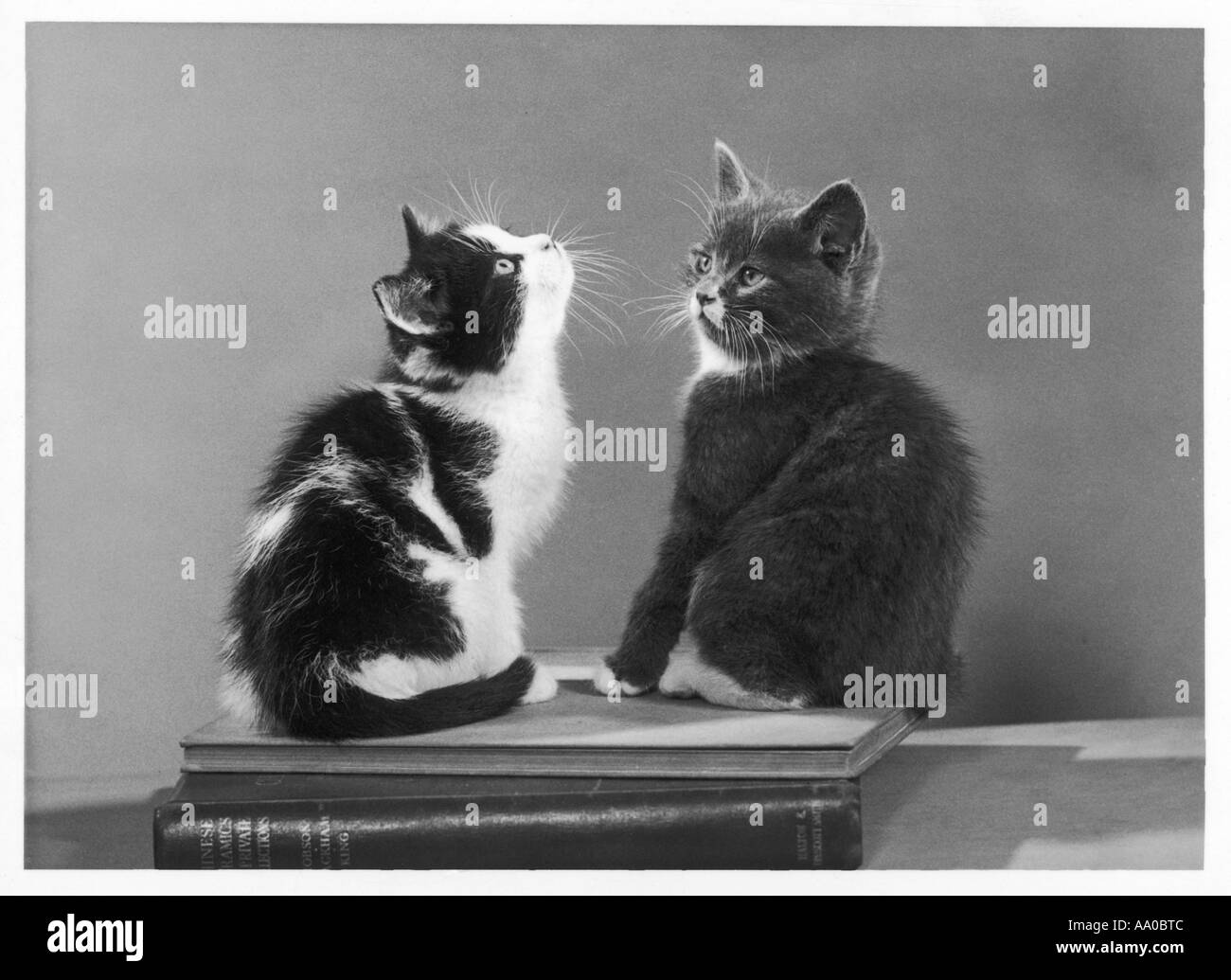 Black and white books hi-res stock photography and images - Alamy