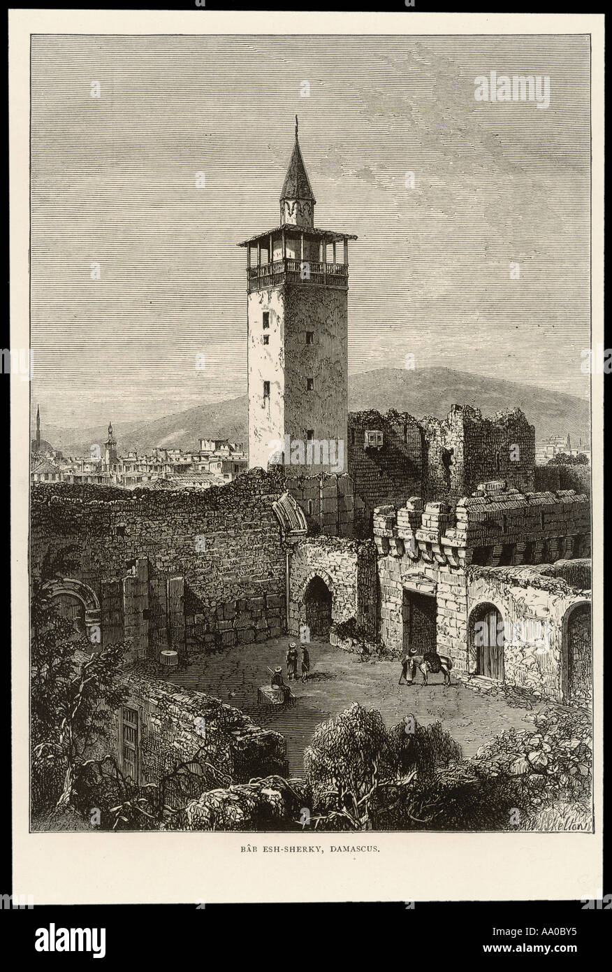 Sharki hi-res stock photography and images - Alamy