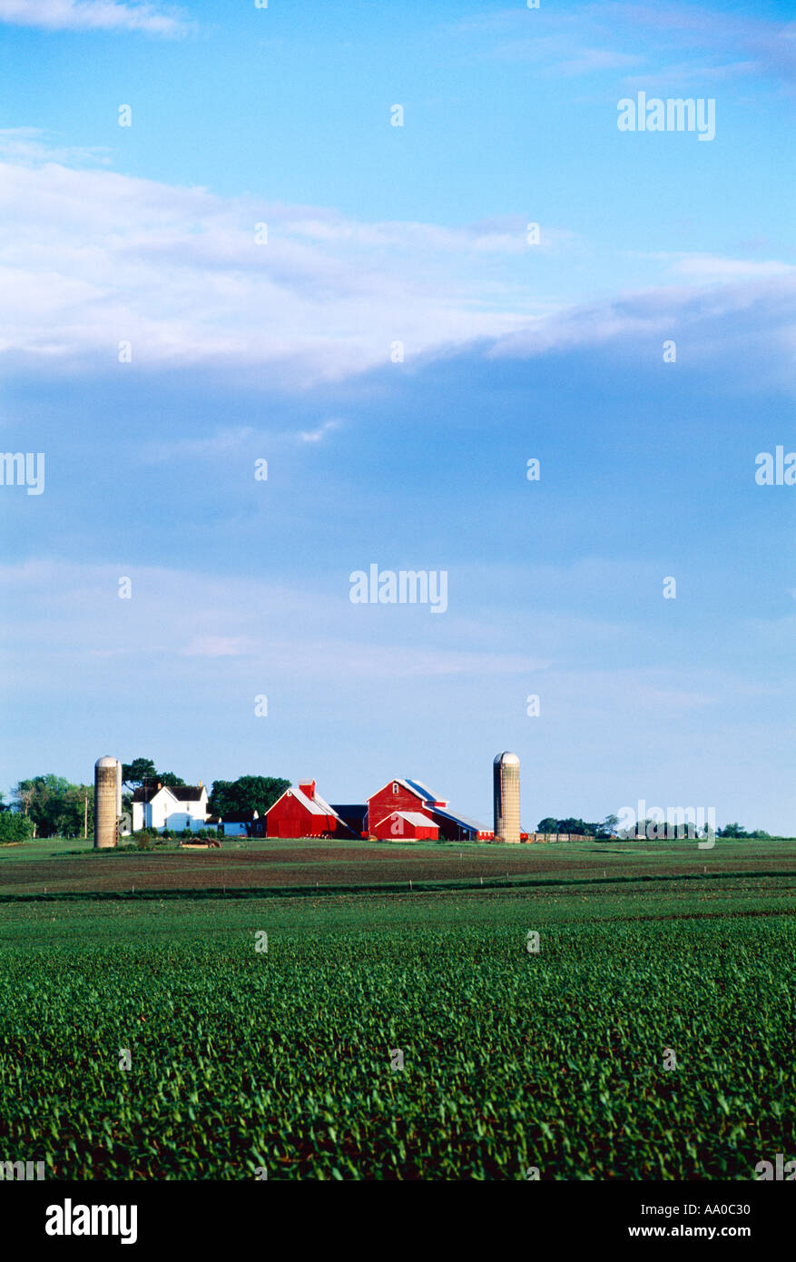 Fields barns corn plants hi-res stock photography and images - Alamy