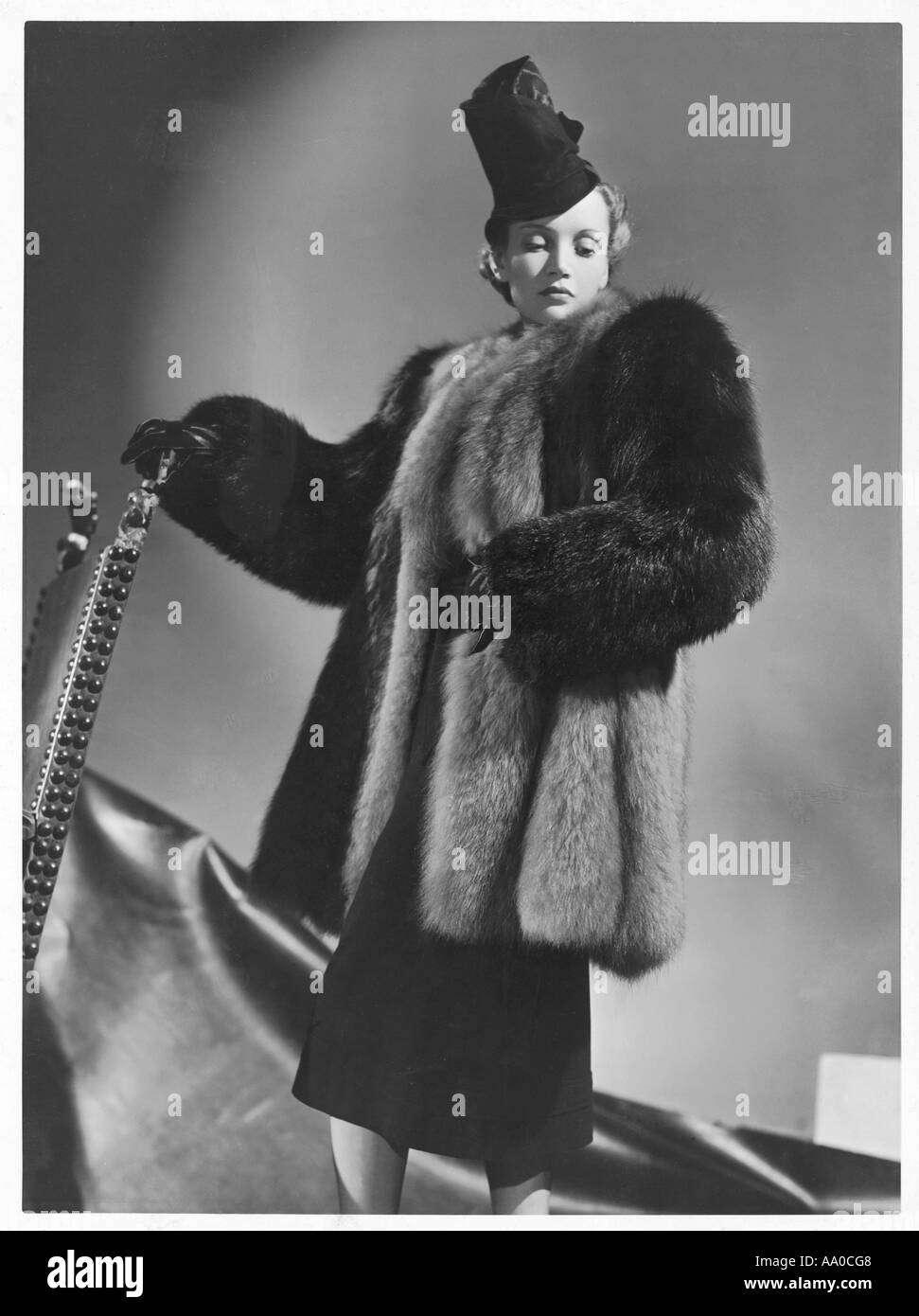 At a red fox Black and White Stock Photos & Images - Alamy