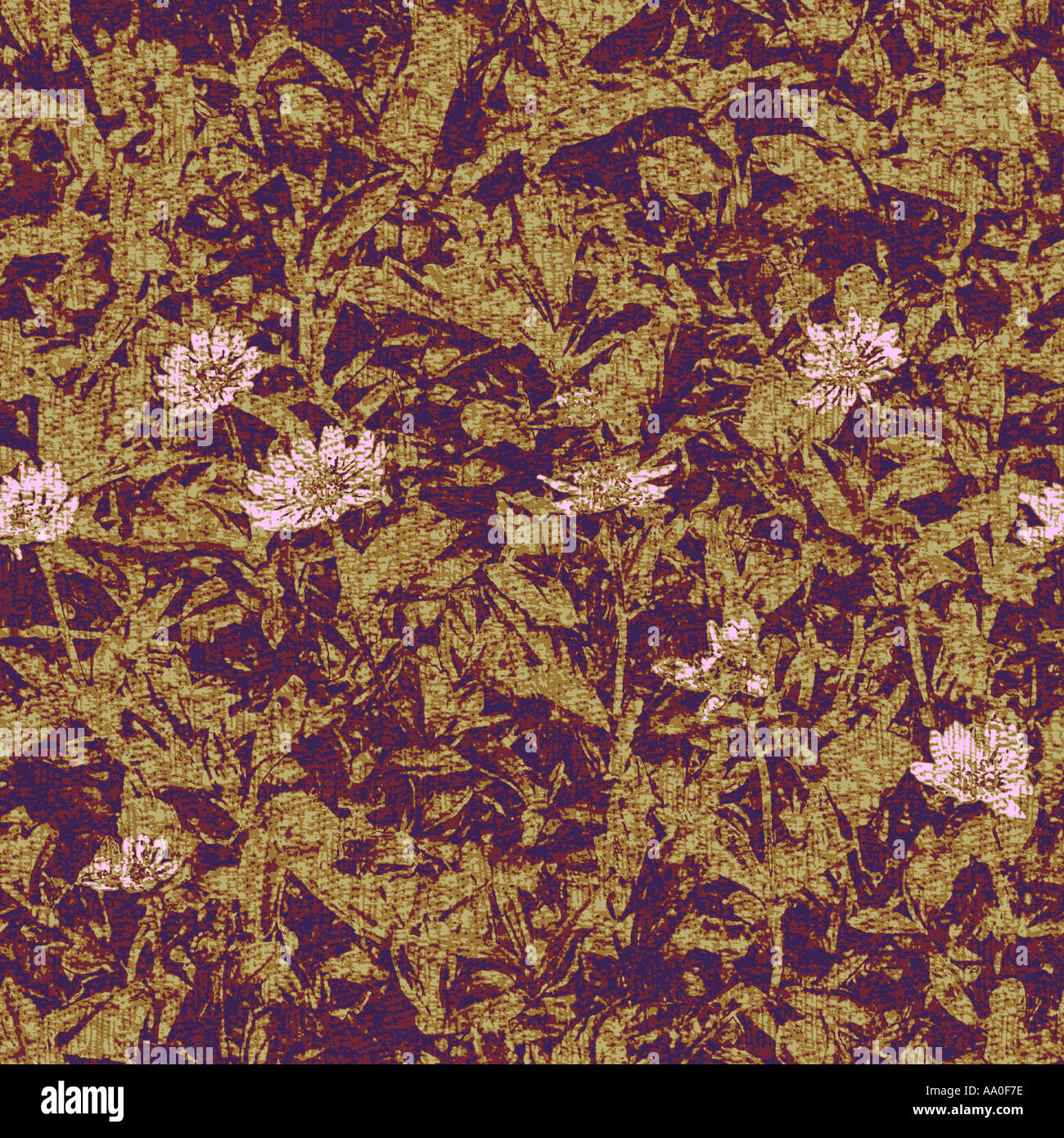 Geta close up hi-res stock photography and images - Alamy