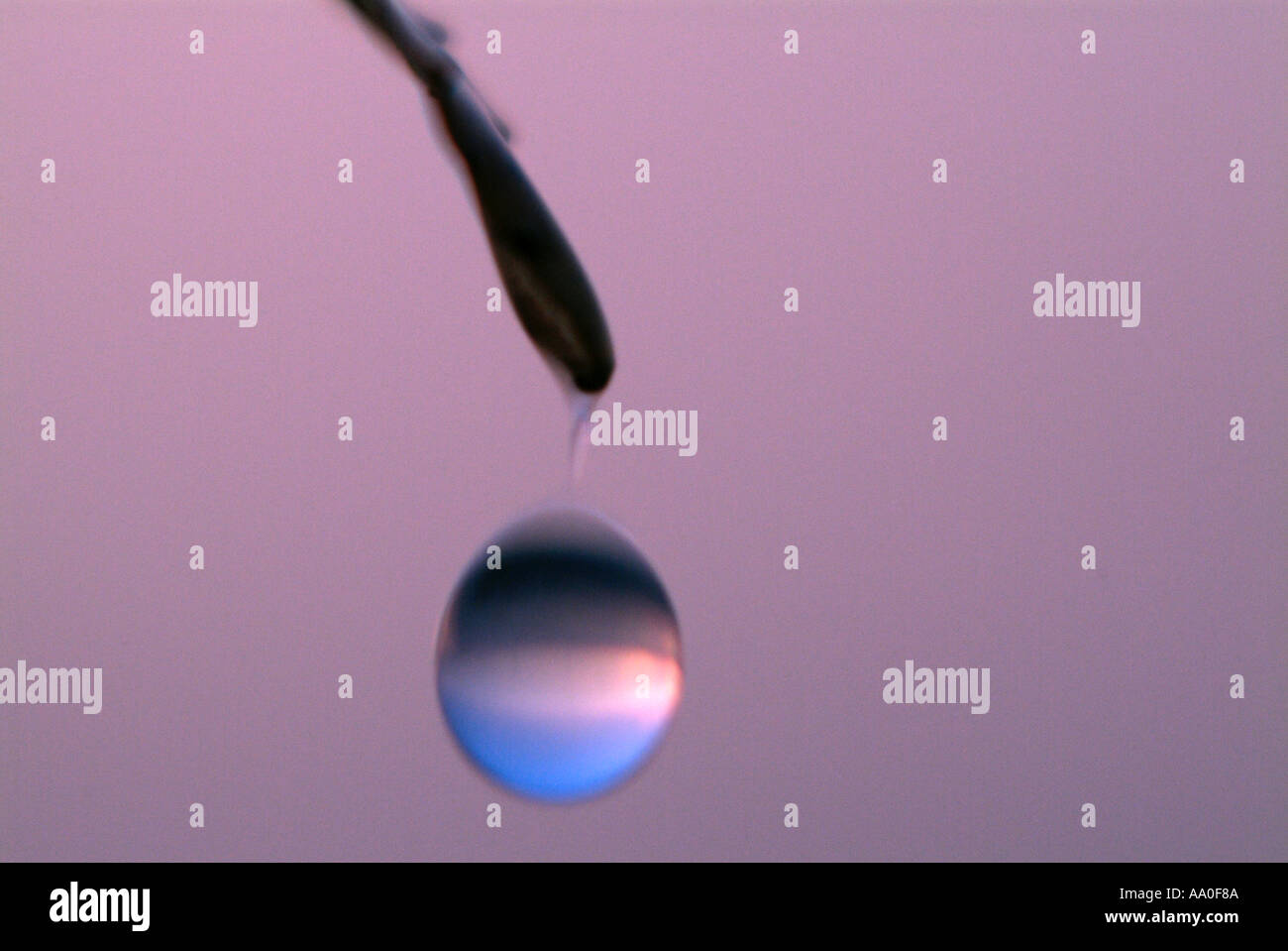 water droplet falling Stock Photo - Alamy