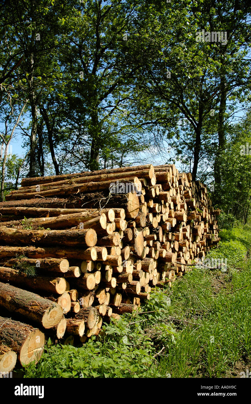 holzstapel wood batch Stock Photo - Alamy