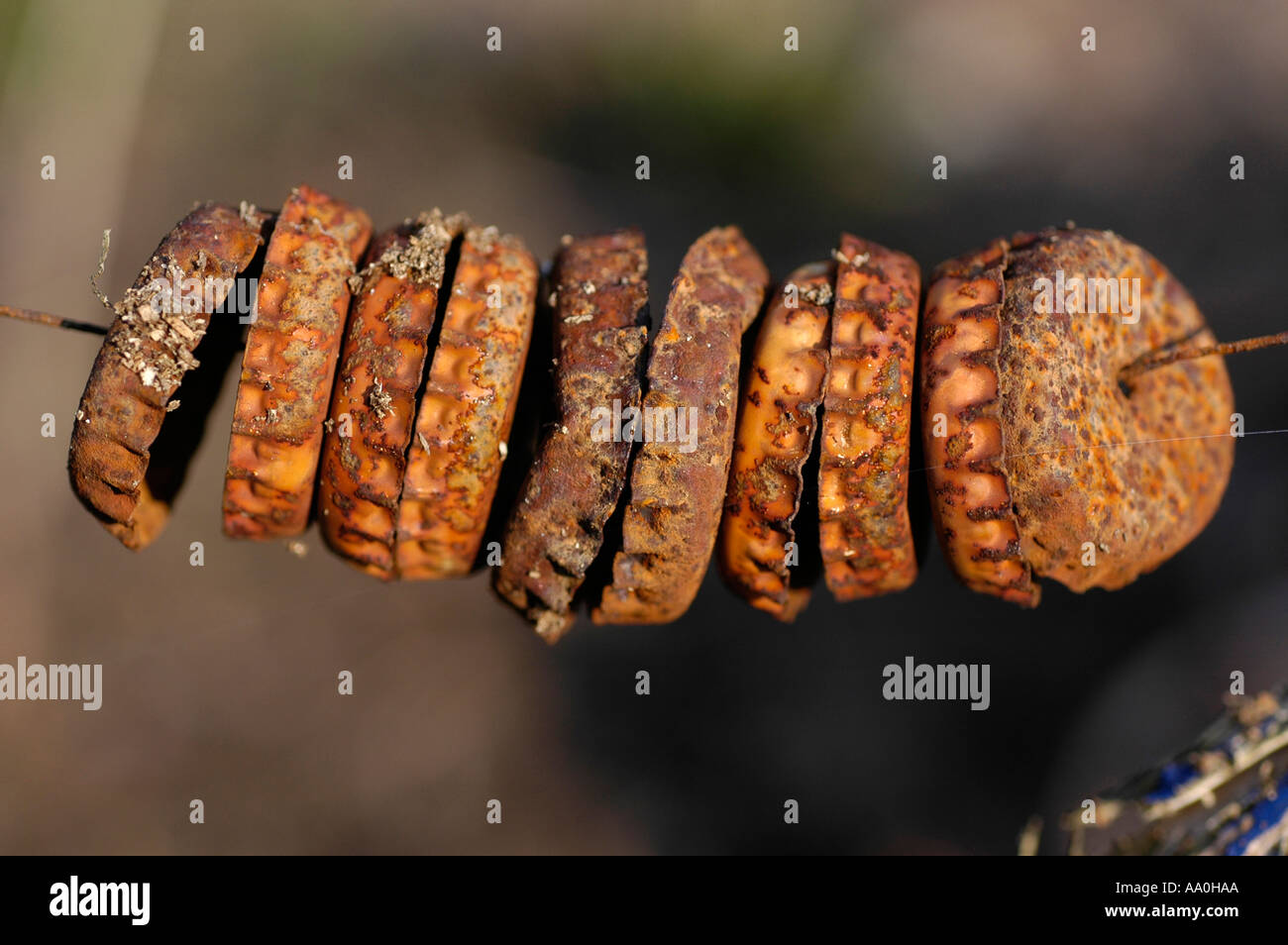 Altmetall detail hi-res stock photography and images - Alamy