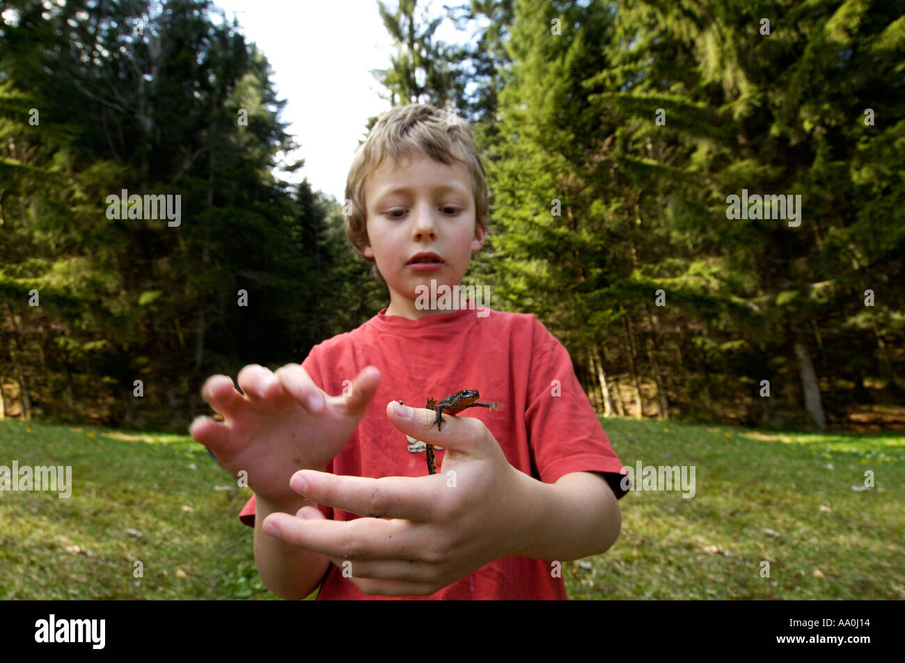 Child with newt hi-res stock photography and images - Alamy