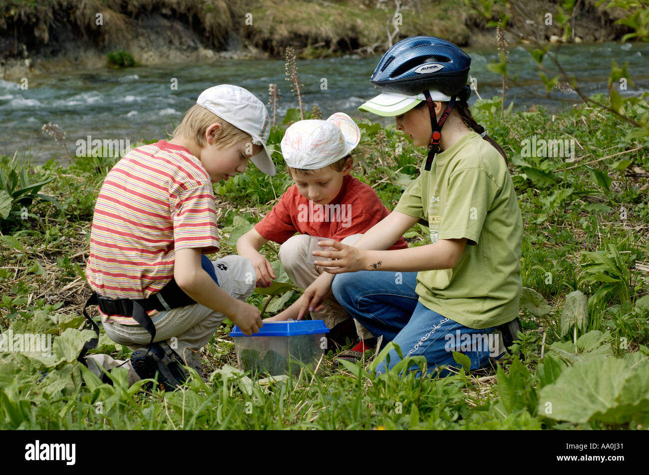 Three children seven eight and nine year old collecting beetles and ...