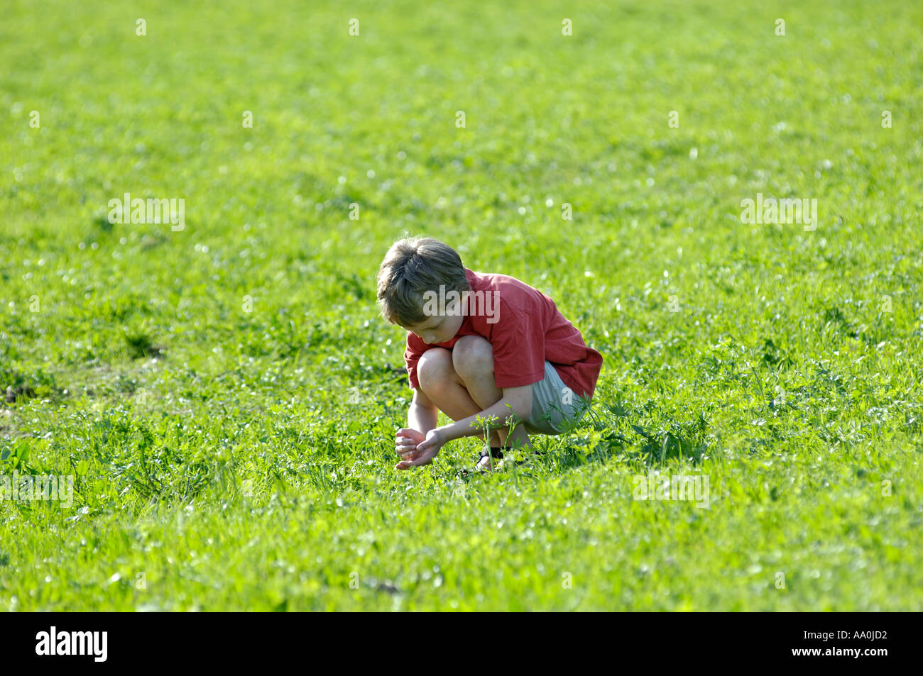 Kid holding insects hi-res stock photography and images - Alamy
