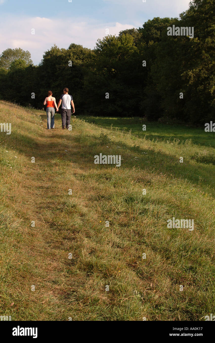 Couple walking and holding hands in the countryside Stock Photo - Alamy