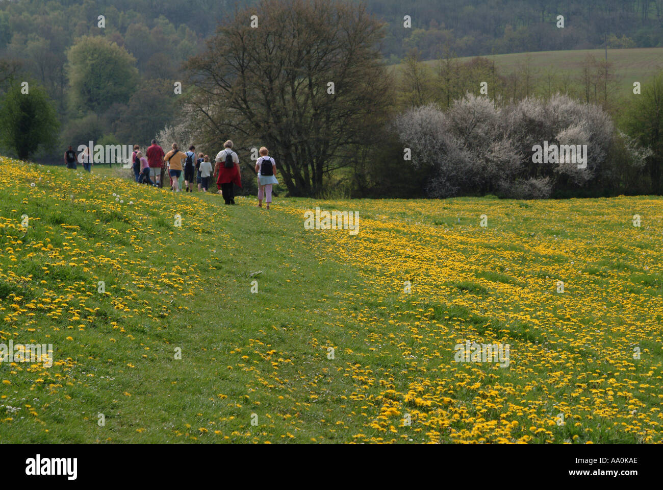 Walkers Field Rear View High Resolution Stock Photography and Images ...