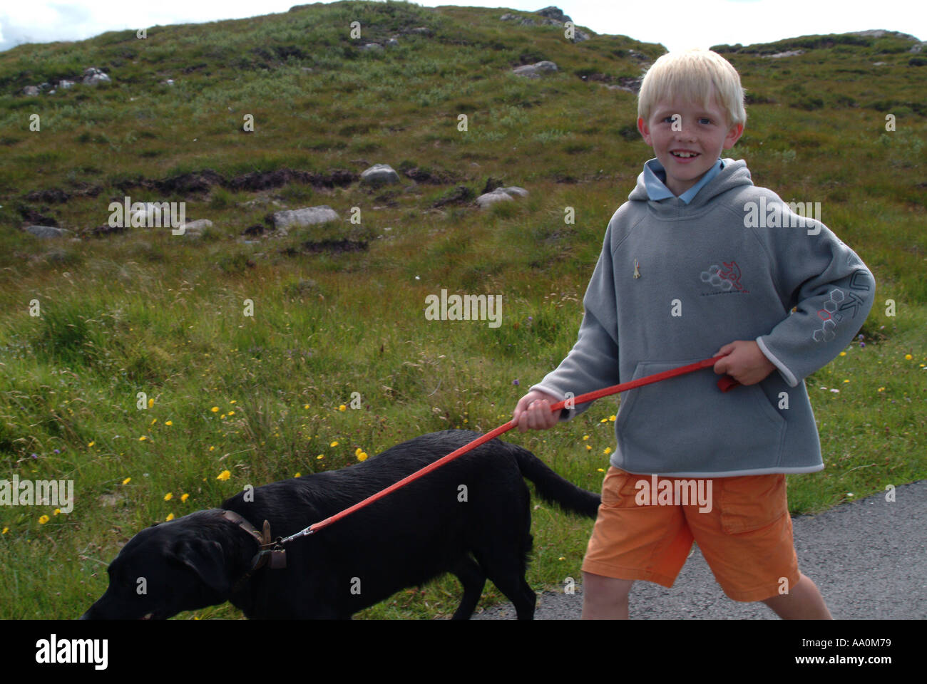 Little boy walking a black labrador dog along a quiet country lane ...