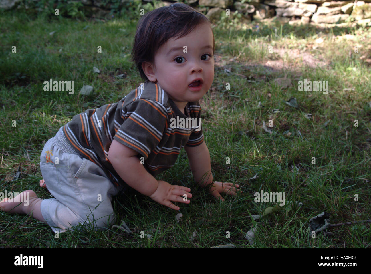 Baby crawling outside in garden hi-res stock photography and images - Alamy
