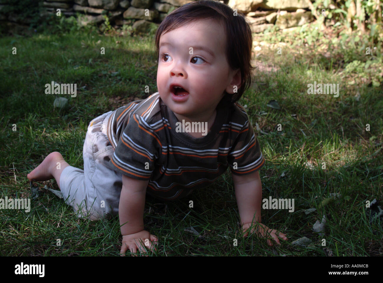 Baby crawling outside in garden hi-res stock photography and images - Alamy