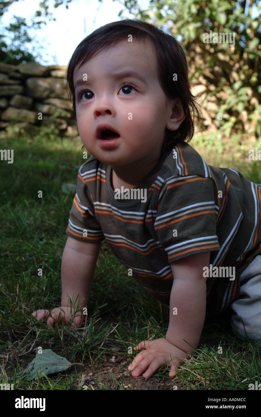 Baby crawling outside in garden hi-res stock photography and images - Alamy