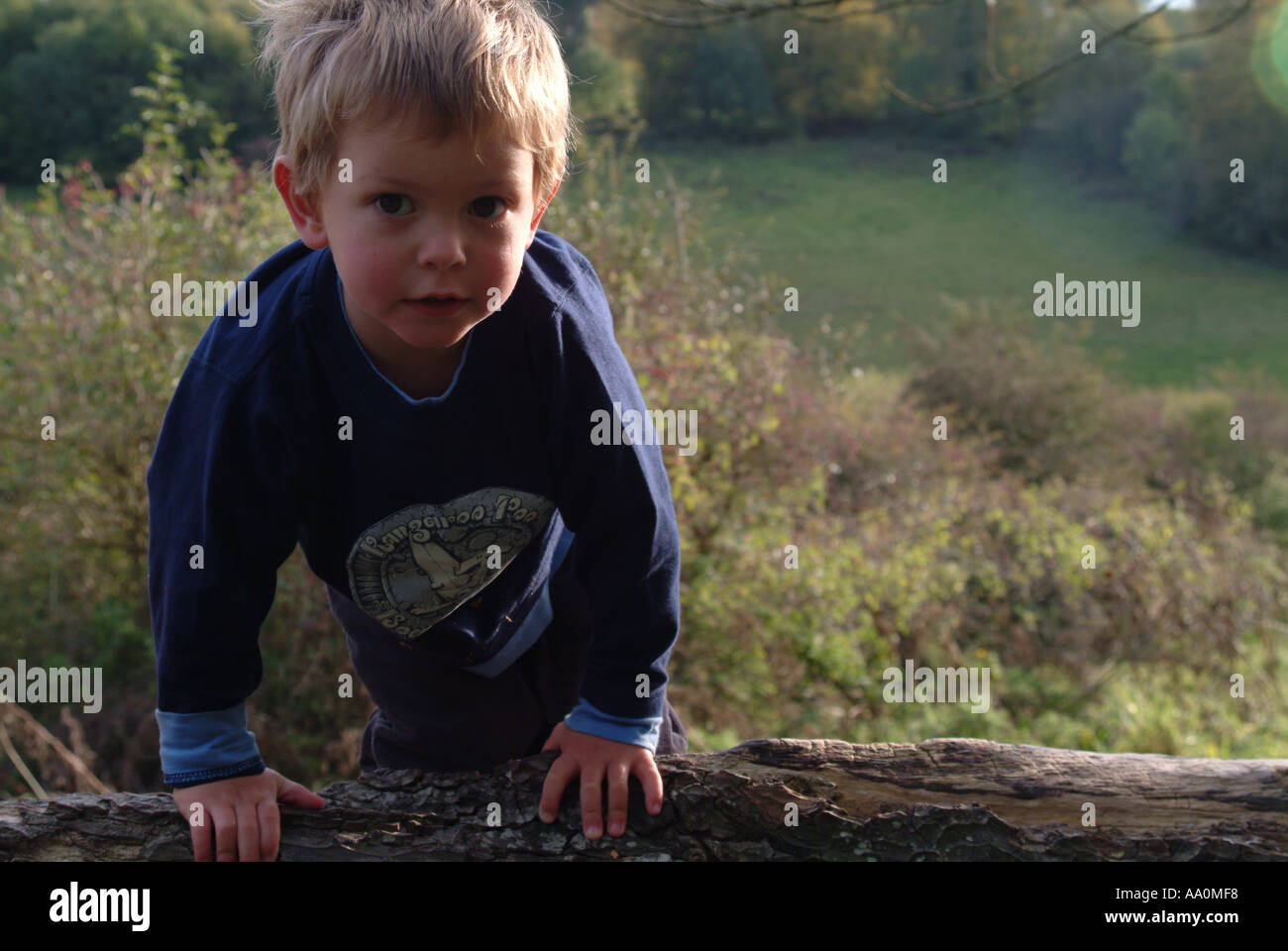 Boy exploring tree trunk hi-res stock photography and images - Alamy