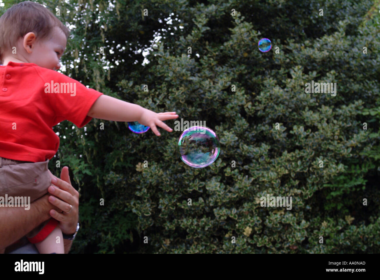 Little boy watching bubbles Stock Photo - Alamy