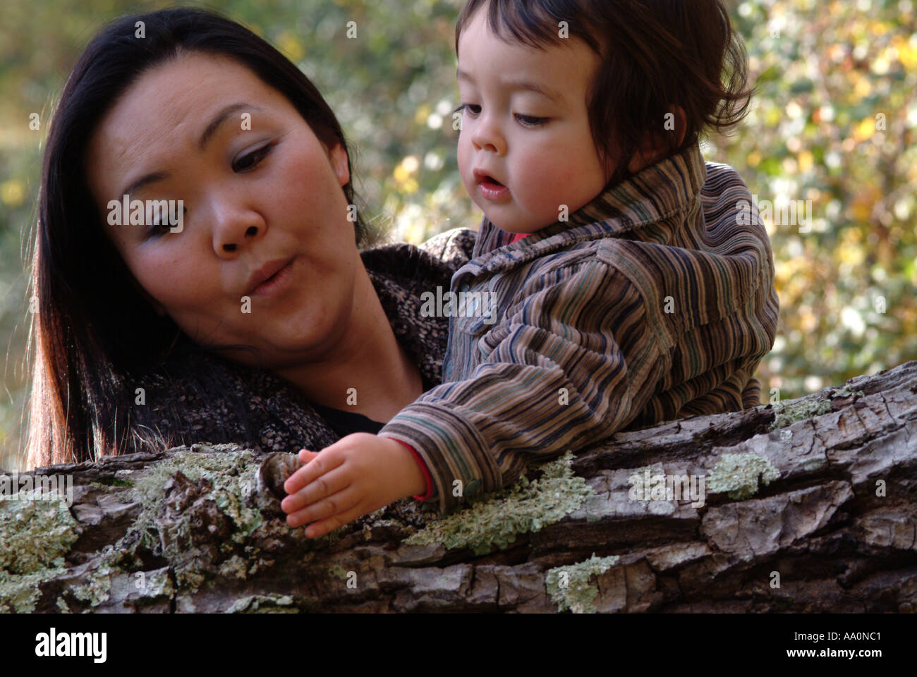 Mother and toddler outside together looking at tree bark Stock Photo ...