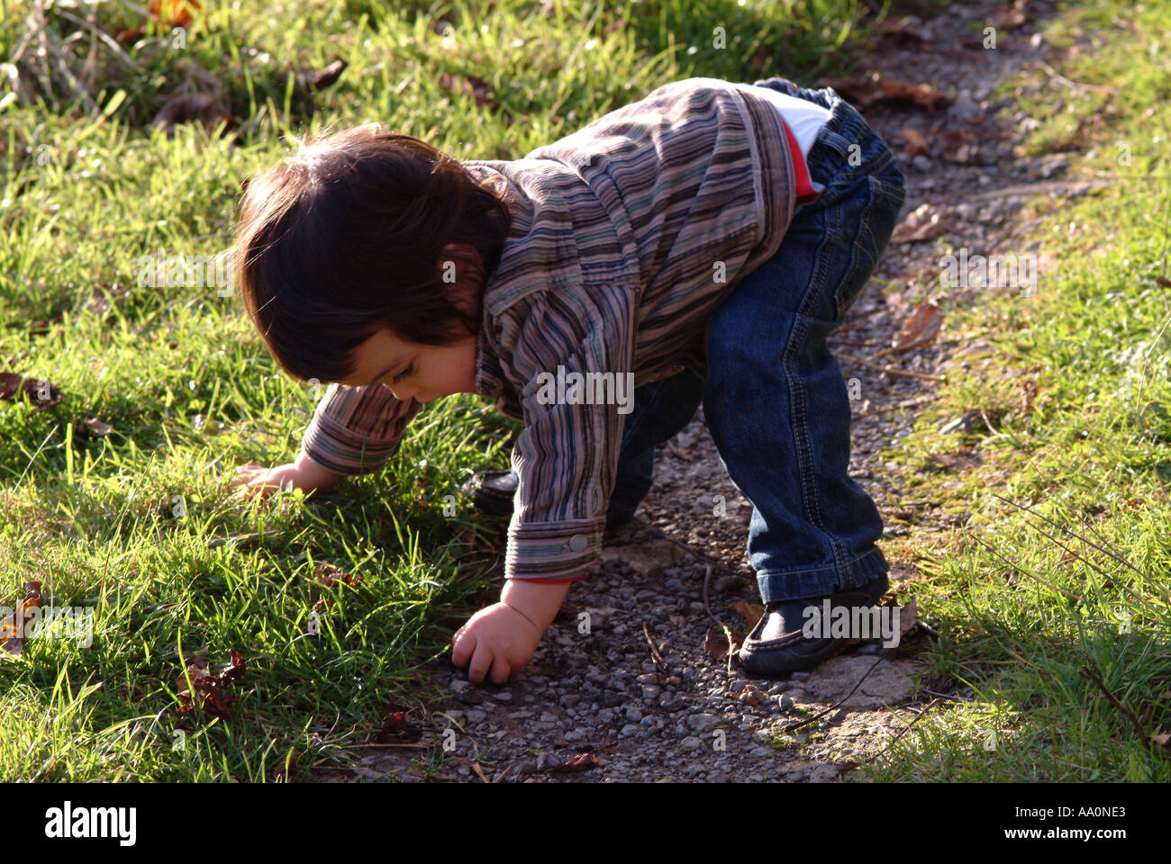 Toddler picking up a small object off the floor Stock Photo - Alamy