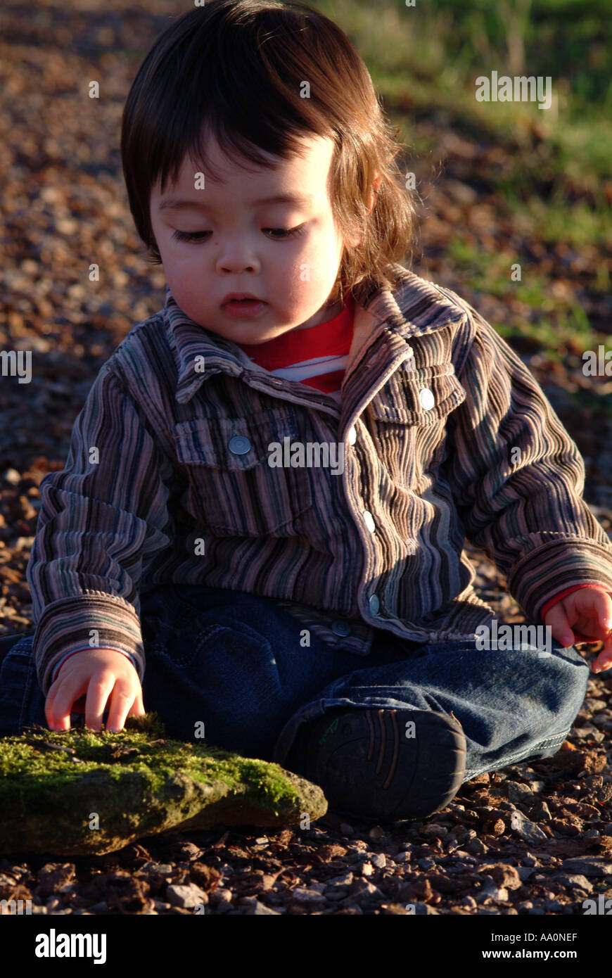 Toddler sitting down and examining a stone Stock Photo - Alamy