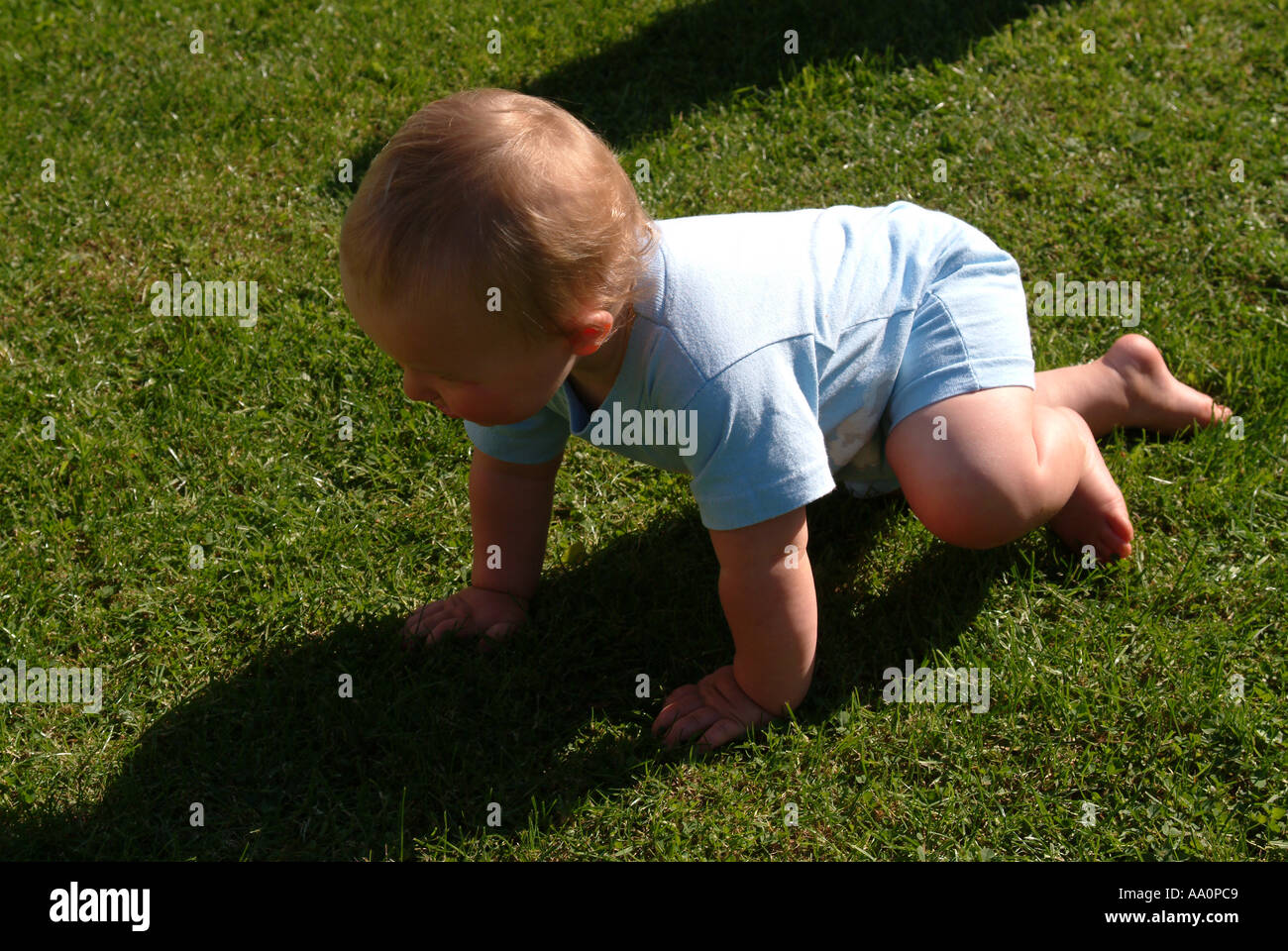Child crawling on grass hi-res stock photography and images - Alamy