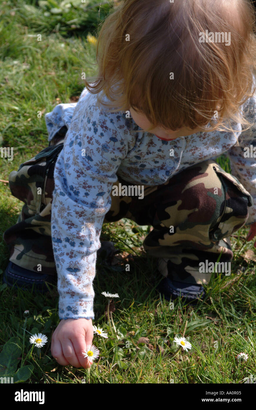 Toddler girl picking flowers daisies hi-res stock photography and ...