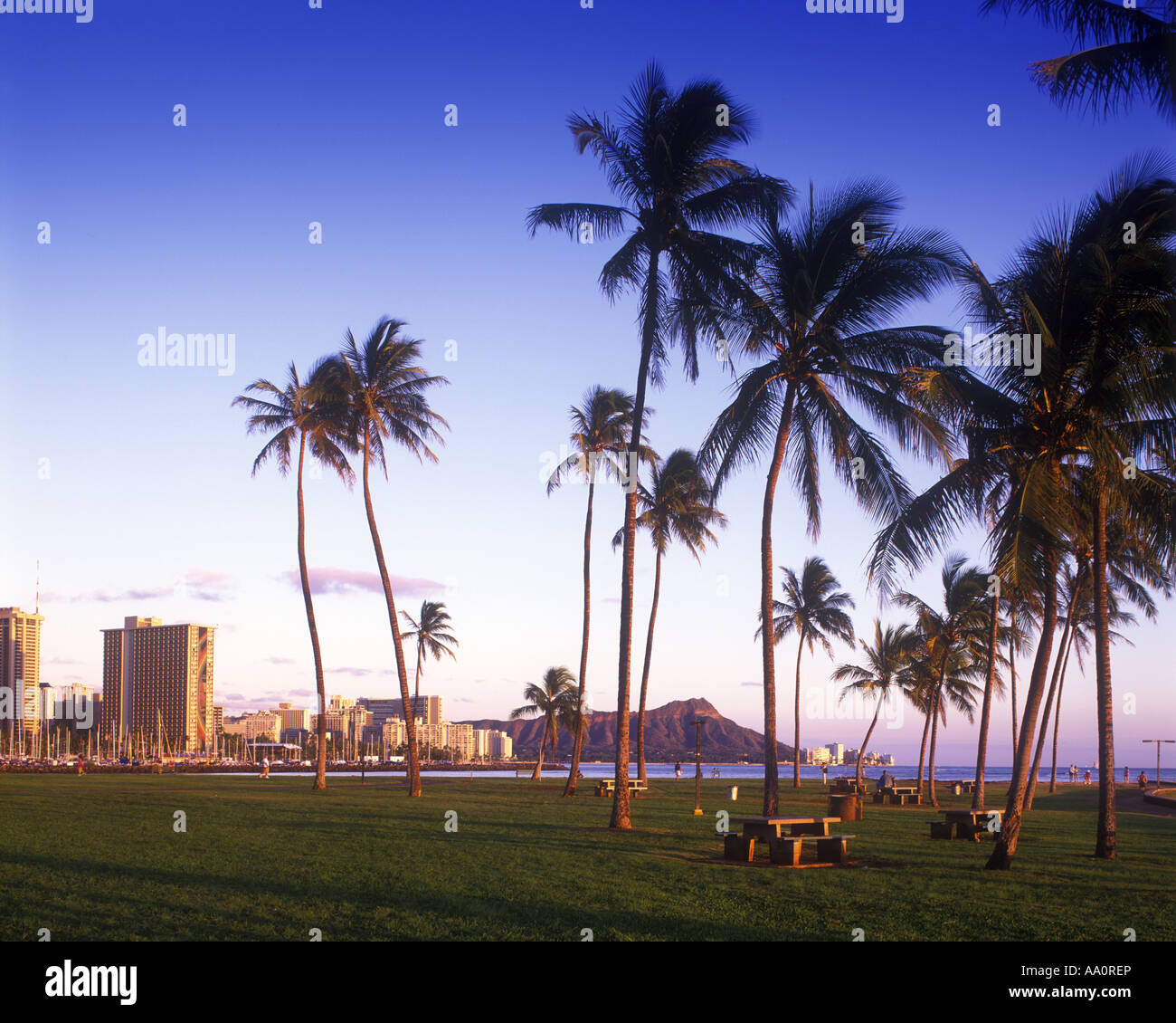 WAIKIKI SKYLINE FROM ALA MOANA PARK HONOLULU OAHU HAWAII USA Stock ...