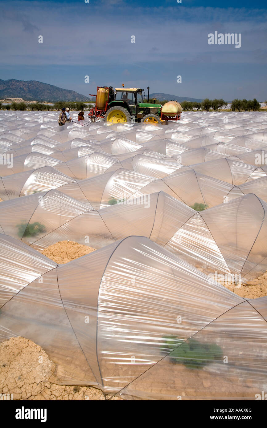 Polytunnels spain hi-res stock photography and images - Alamy