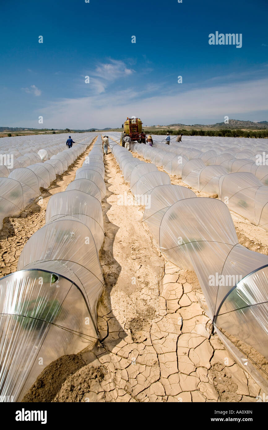 Polytunnels spain hi-res stock photography and images - Alamy