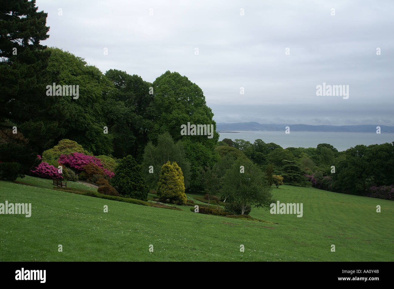 Clyne gardens hi-res stock photography and images - Alamy