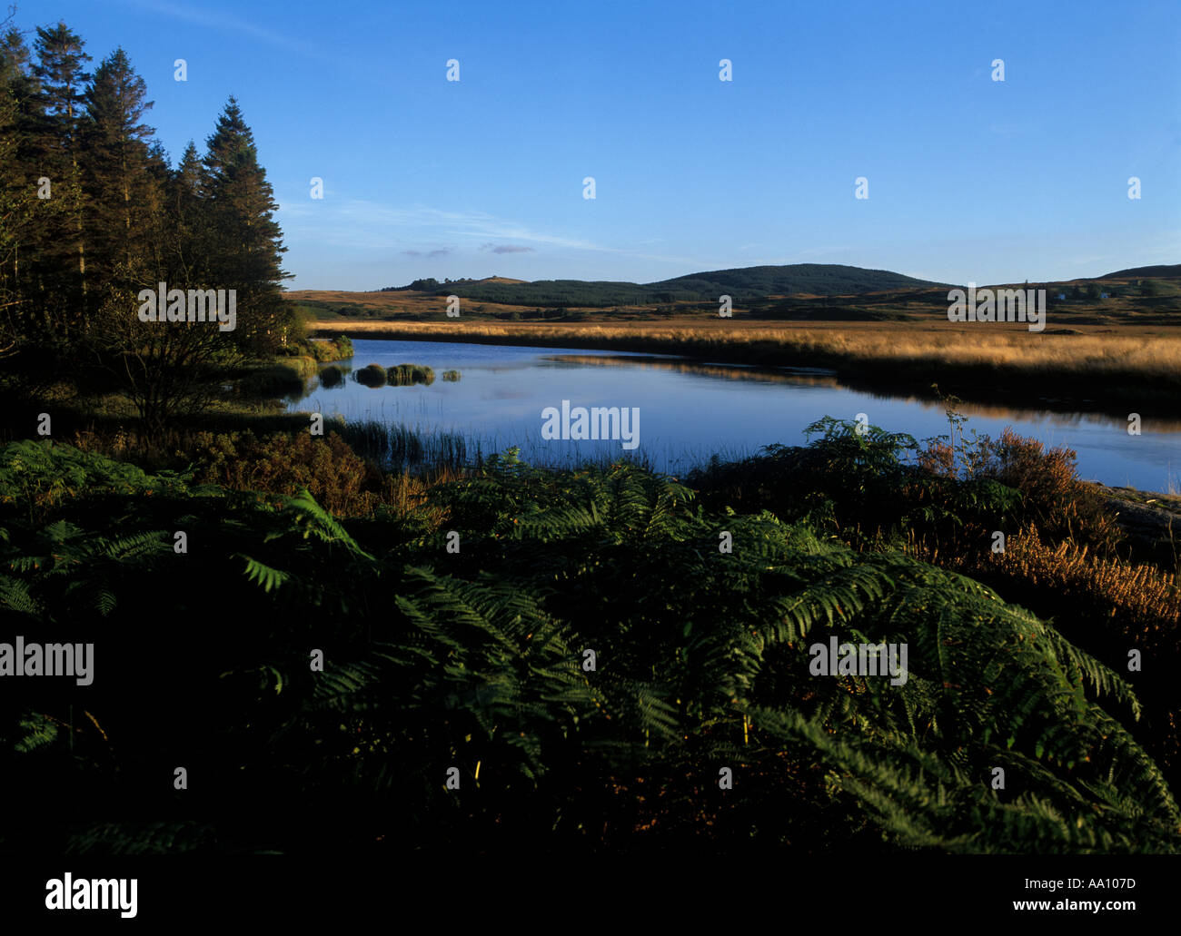 Loch in Galloway Forest Scotland Stock Photo - Alamy