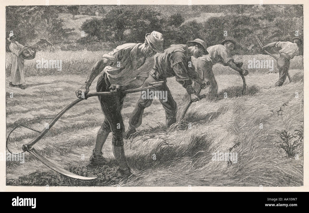 Scything The Hay Stock Photo - Alamy