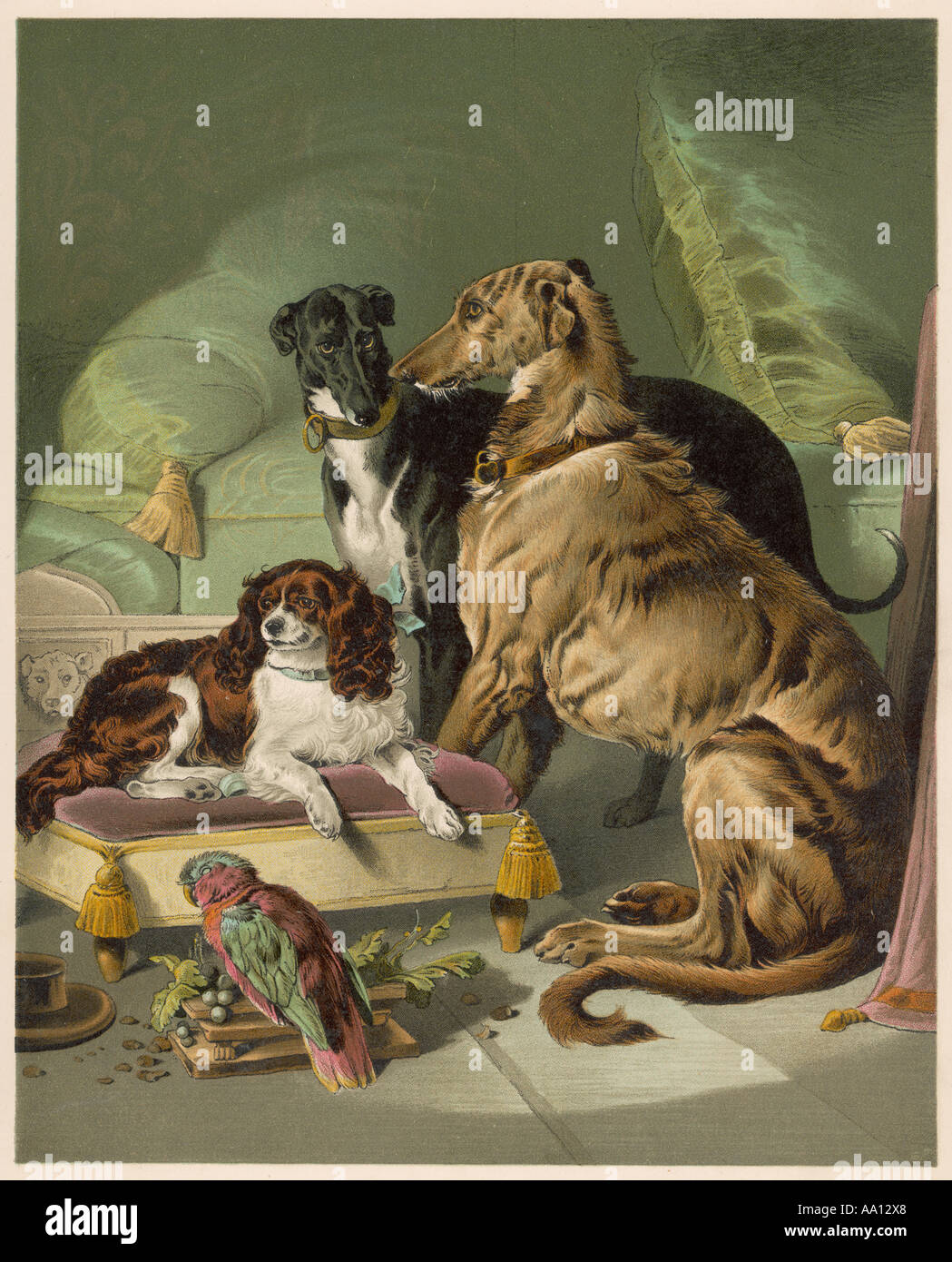 Queen victorias dog hi-res stock photography and images - Alamy