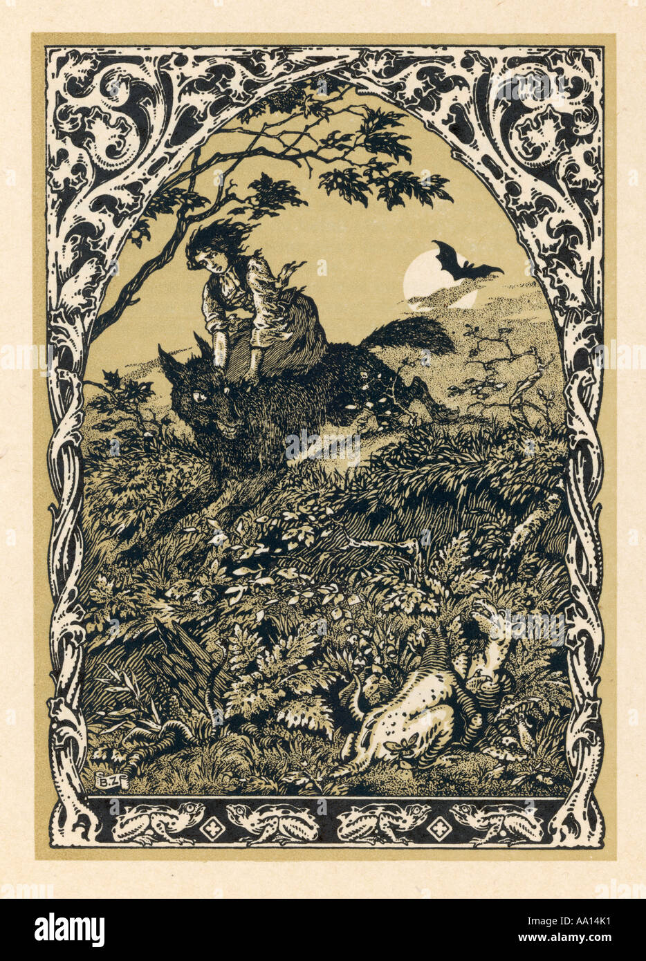 Master Wolf Stock Photos & Master Wolf Stock Images - Alamy