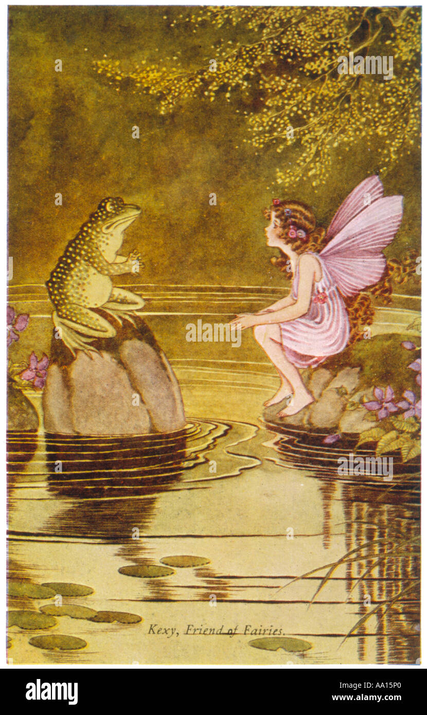 Reptiles frog hi-res stock photography and images - Alamy