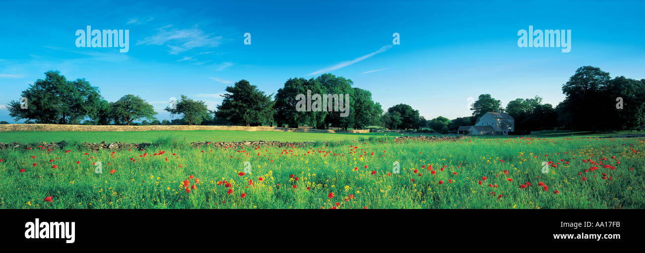 Landscape of Cherington in the Cotswolds Gloucestershire UK Stock Photo ...