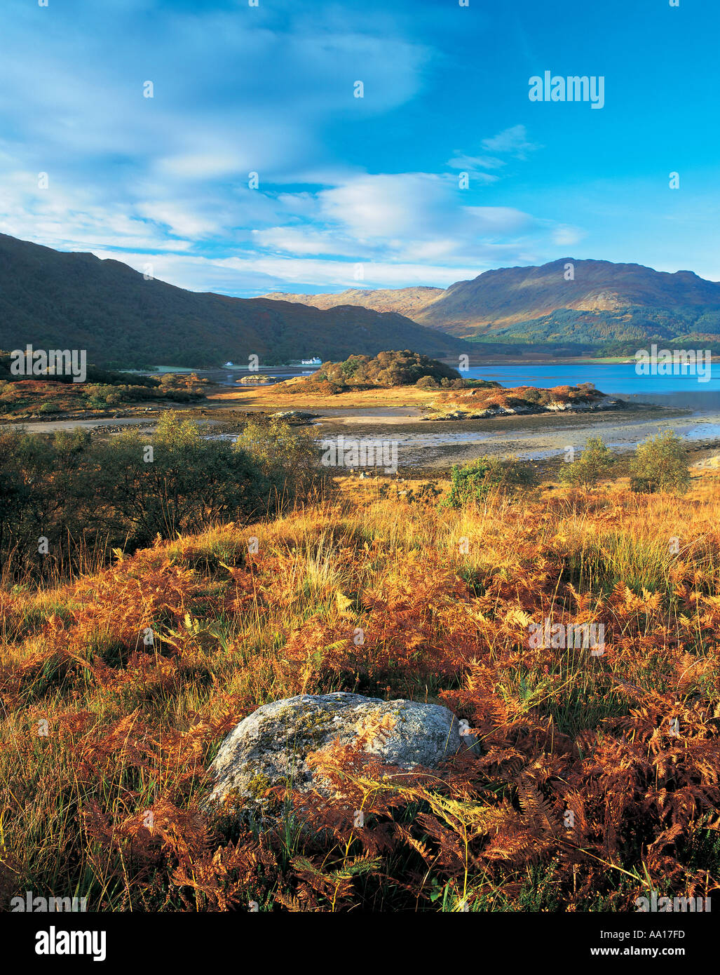 Loch Sunart in Ardnamurchan Scotland UK Stock Photo - Alamy